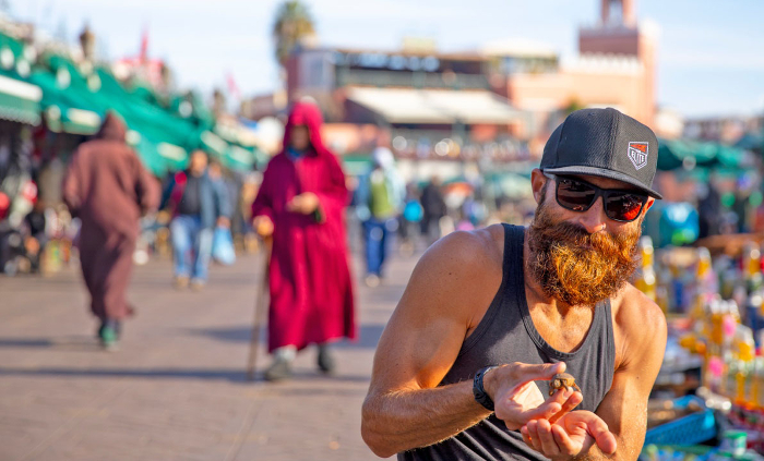 Best iFIT Beginner Running Series | NordicTrack Blog